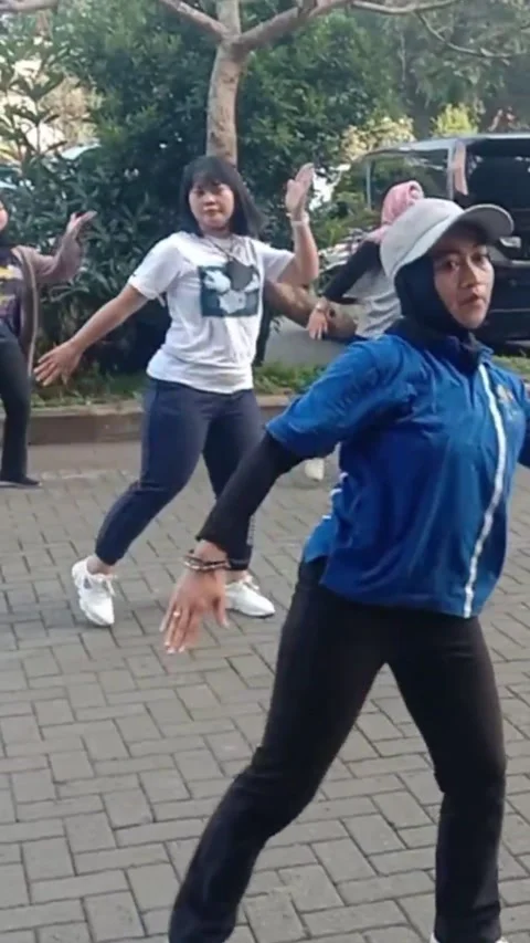 My2Lile Tiktok Stock Videos – Royalty-Free HD & 4K Videos