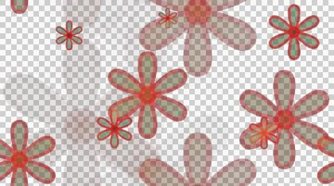 Flower Overlay Stock Footage ~ Royalty Free Stock Videos | Pond5