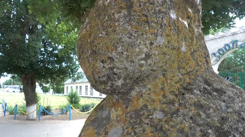 Tilt down viewing an old stone Polovtsy ... | Stock Video | Pond5