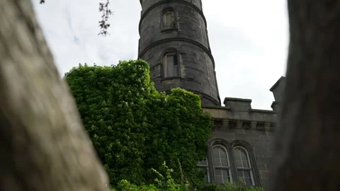 Push Tree Up Stock Videos – Royalty-Free HD & 4K Videos