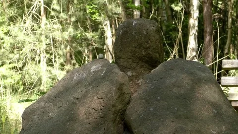 Tilt: Rock sculpture, artificial rock fo... | Stock Video | Pond5
