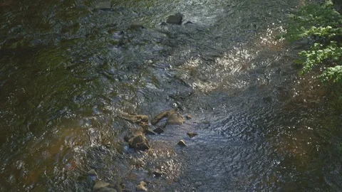 Tilt shot following the flow of water to... | Stock Video | Pond5