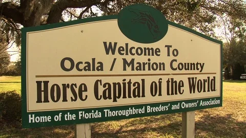 Tilt from tree to reveal "Welcome to Oca... | Stock Video | Pond5