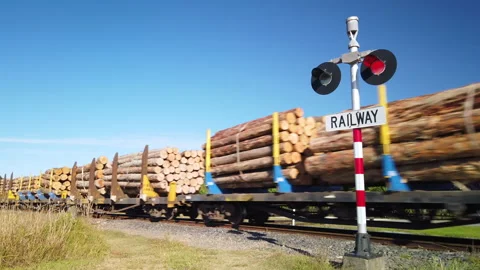 Timber logs being transported on rail ca... | Stock Video | Pond5