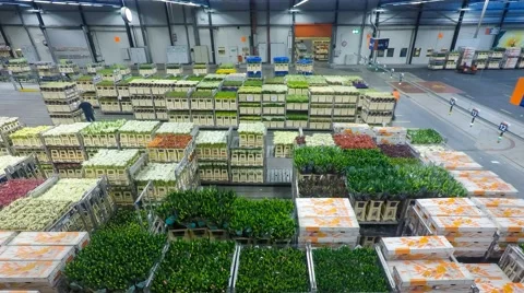 Lapse Floor Stock Videos – Royalty-Free HD & 4K Videos | Pond5