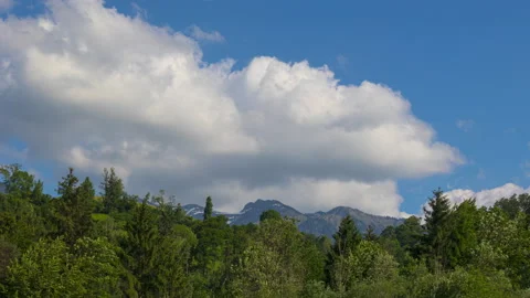 On Swit Stock Videos – Royalty-Free HD & 4K Videos