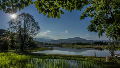 M Hod Stock Videos – Royalty-Free HD & 4K Videos | Pond5