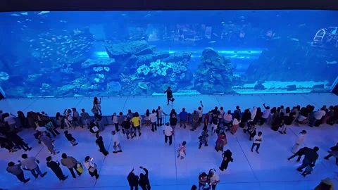 Time lapse Dubai Mall Aquarium with Spec... | Stock Video | Pond5