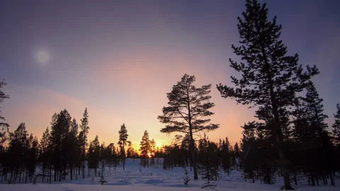 TIME LAPSE - A forest and the aurora bor... | Stock Video | Pond5