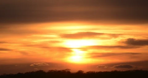 Gorgeous Vision Stock Videos – Royalty-Free HD & 4K Videos | Pond5