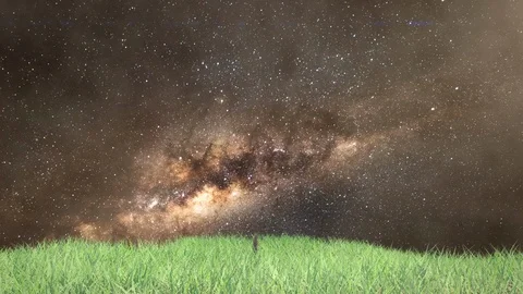 Growing Tree Animation Time Lapse Stock Videos – Royalty-Free HD & 4K ...