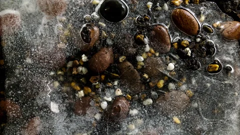 Time lapse of melting ice on the ground,... | Stock Video | Pond5