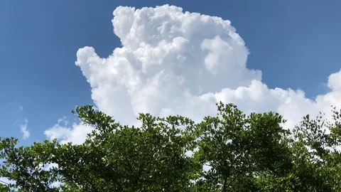 Time lapse, Motion movement with white f... | Stock Video | Pond5