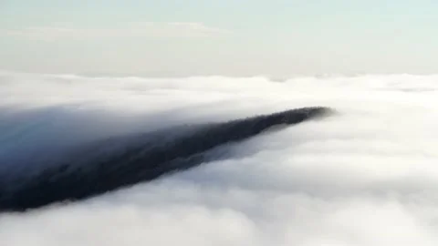 Time Lapse Of Rolling Fog over Forest at... | Stock Video | Pond5