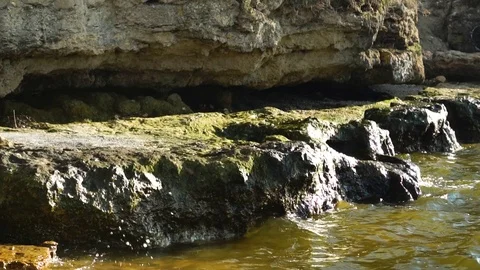 Crash Time Stock Videos – Royalty-Free HD & 4K Videos