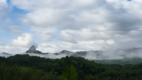 Time lapse in tropical rainforest with m... | Stock Video | Pond5