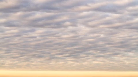 Twiglight Tone Stock Videos – Royalty-Free HD & 4K Videos