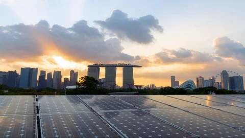 Gay0Day Video Stock Videos – Royalty-Free HD & 4K Videos | Pond5