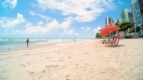 Video De Boia Stock Videos – Royalty-Free HD & 4K Videos