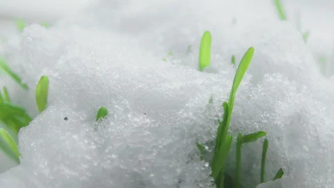 Video07 Time Stock Videos – Royalty-Free HD & 4K Videos