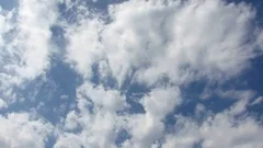 Davidek1 ~ Artist Portfolio ~ Art for Sale | Pond5