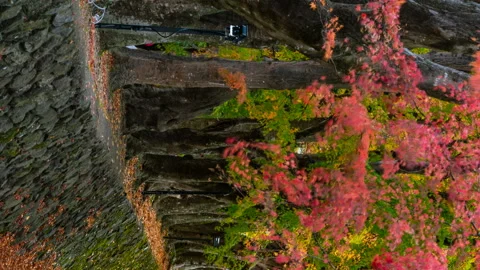 Timelapse Close Up Shot of Fall Foliage ... | Stock Video | Pond5