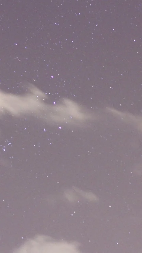 Moving Tree Media Stock Videos – Royalty-Free HD & 4K Videos