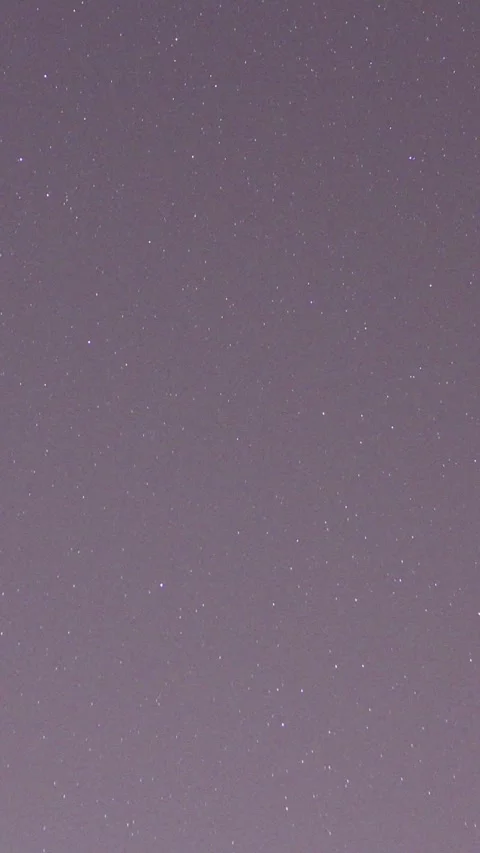 Moving Tree Media Stock Videos – Royalty-Free HD & 4K Videos