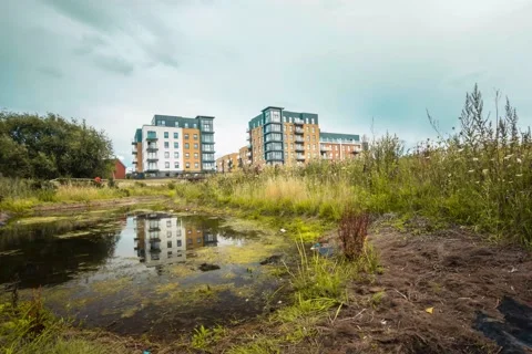 Reading Blocks Stock Videos – Royalty-Free HD & 4K Videos