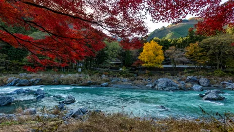 Timelapse Pan of Fall Foliage by River i... | Stock Video | Pond5