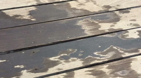 Become The Water Stock Videos – Royalty-Free HD & 4K Videos