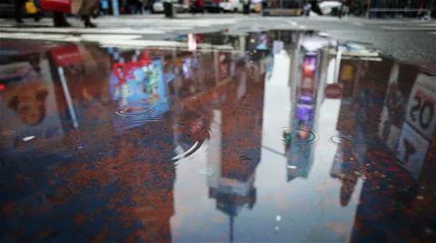 Reflection In Puddle Stock Footage ~ Royalty Free Stock Videos | Pond5