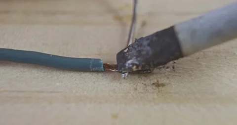 Tinned Stock Footage ~ Royalty Free Stock Videos | Pond5