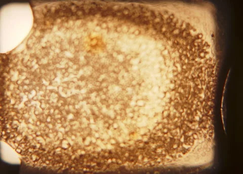Tiny Bubbles Forming On Burning Vintage ... | Stock Video | Pond5