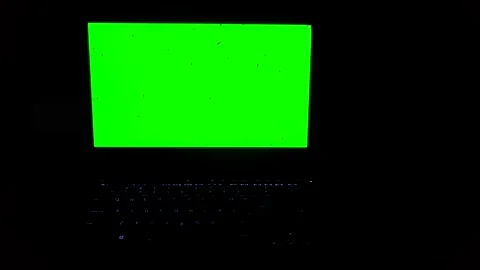 Tiny insects on a computer screen isolat... | Stock Video | Pond5