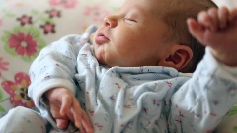 Boy In Asl Stock Videos – Royalty-Free HD & 4K Videos