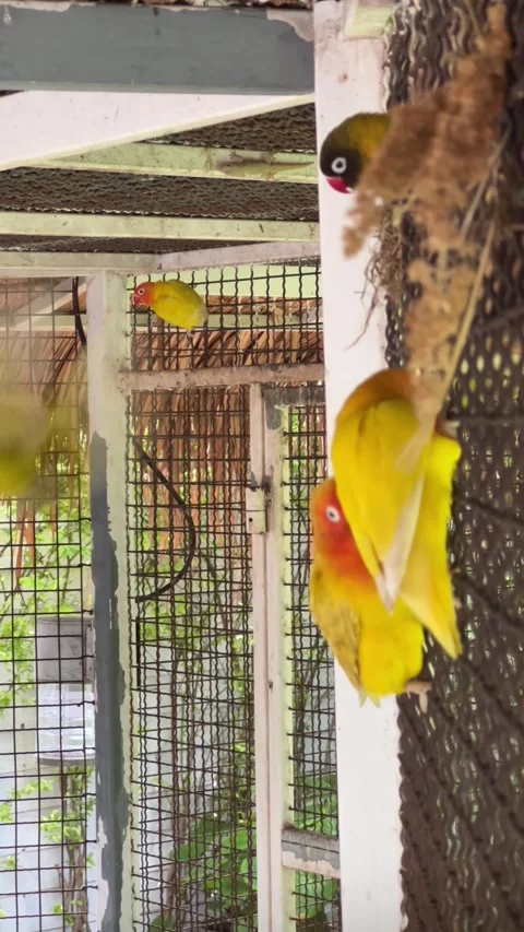 Faces Bodies Stock Videos – Royalty-Free HD & 4K Videos | Pond5