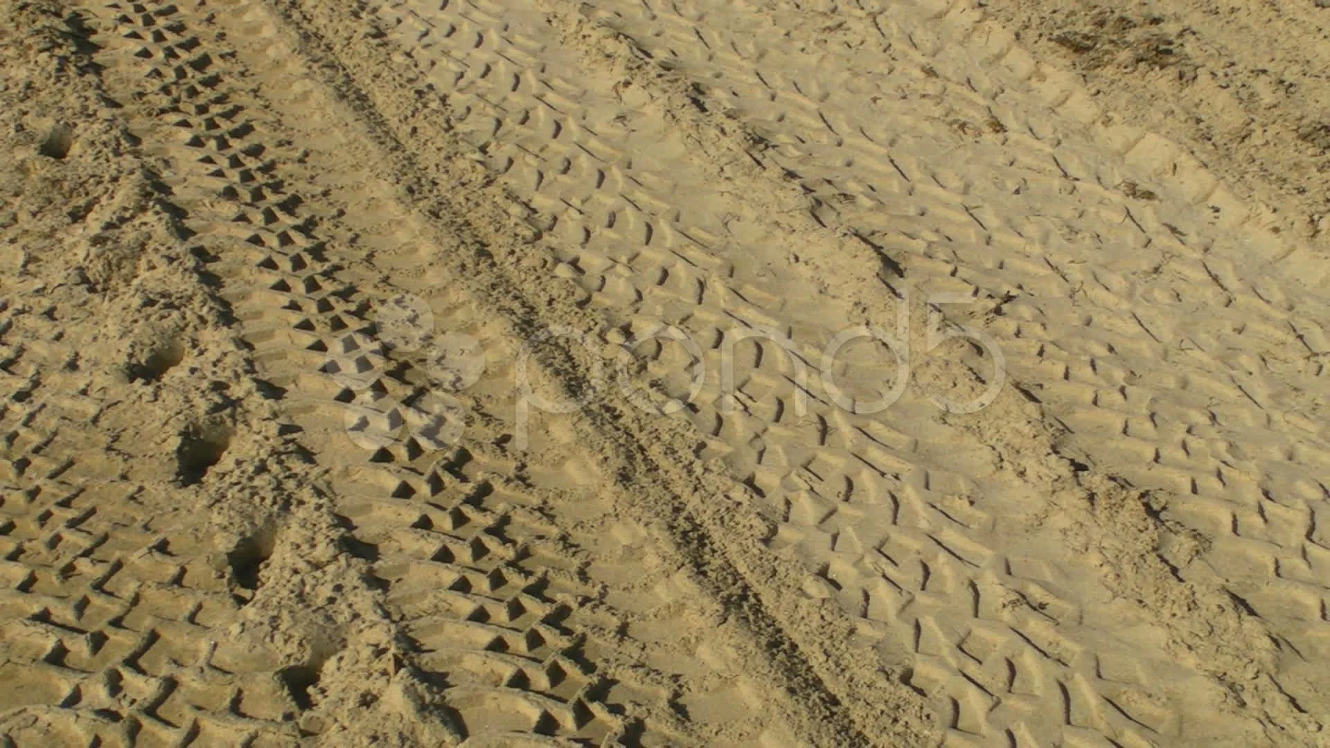 Tire Tracks In Sand