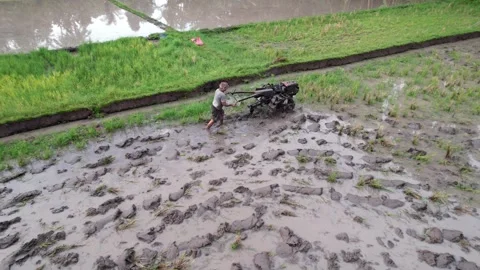 Tired man plowing rice field using walki... | Stock Video | Pond5