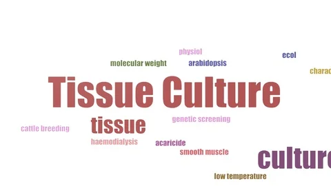 Tissue Culture Word Cloud Animated Isola... | Stock Video | Pond5