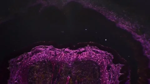Tissue of human penis in cross section w... | Stock Video | Pond5