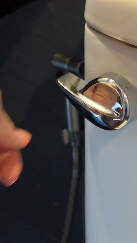 Flysh Video Stock Videos – Royalty-Free HD & 4K Videos