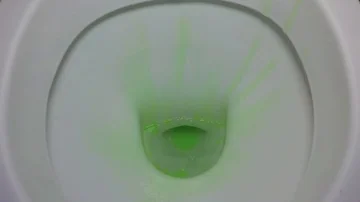 Toilet Drinking B Stock Videos – Royalty-Free HD & 4K Videos | Page 3