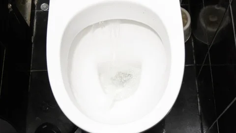 Toilet Man Video Stock Videos – Royalty-Free HD & 4K Videos | Page 3