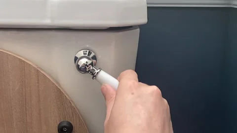 Toilet Handle Stock Video Footage | Royalty Free Toilet Handle Videos ...