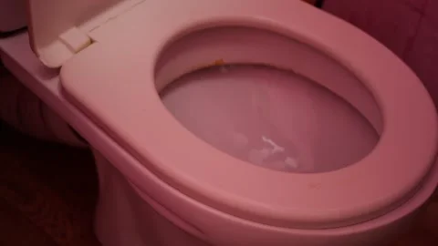 Second Cirst Stock Videos – Royalty-Free HD & 4K Videos | Pond5