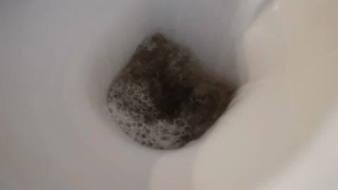 toilet wc flush for hygiene cleaning. pu... | Stock Video | Pond5