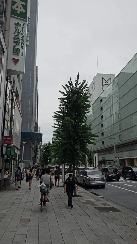 Tokyo - Ginza, Godzilla Statue, Luxury S... | Stock Video | Pond5