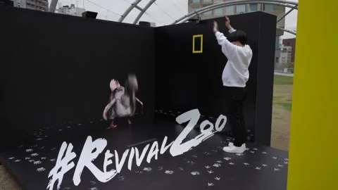 National Geographic Stock Videos – Royalty-Free HD & 4K Videos | Pond5