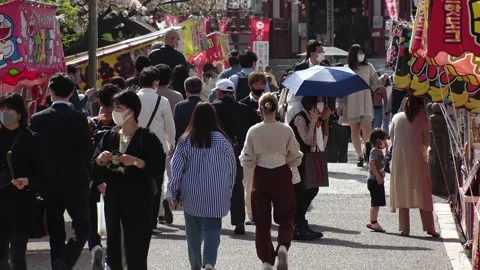 TOKYO, JAPAN : Crowd of people and cherr... | Stock Video | Pond5